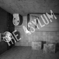 the-asylum - Project Breakout